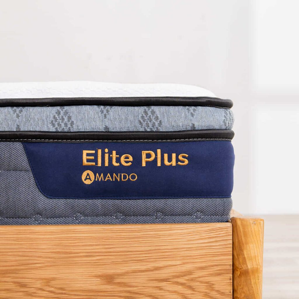 Amando Elite Plus 25cm | Amando